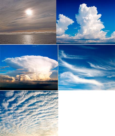 Classical Conversations Science Week 23 Diagram Quizlet