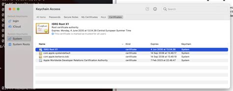 How To Run Nuxtjs Development Env With In Localhost Full Stack