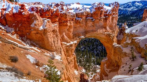 Natural Bridge In Bryce Canyon National Park Utah Usa Windows