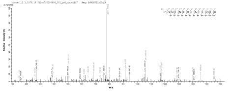 Limulus Clotting Factor C C Rotundicauda Recombinant Protein Yeast Expressed 10xhis Tag