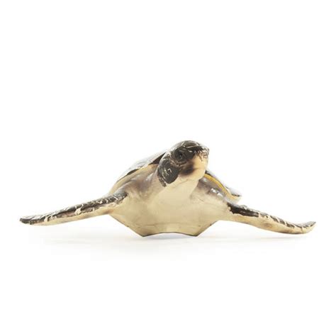 Design Toscano Flat Back Sea Turtle Statue And Reviews Wayfair