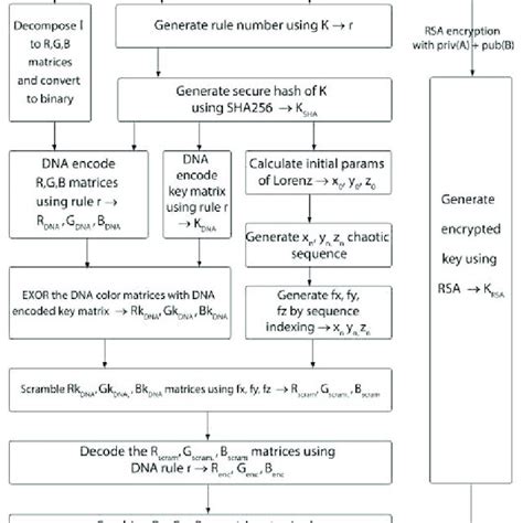 Flow Diagram Of The Encryption Process Download Scientific Diagram