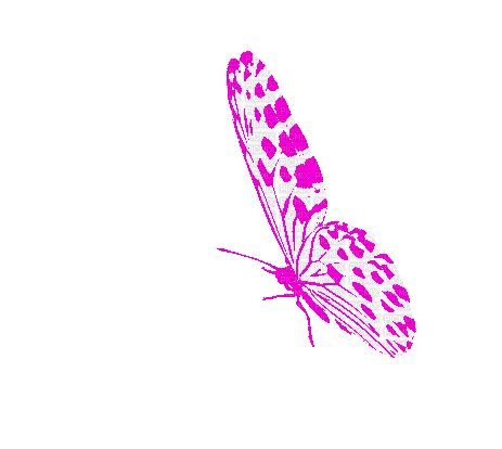 Butterfly Butterfly Deco Tube Spring Purple  Animated
