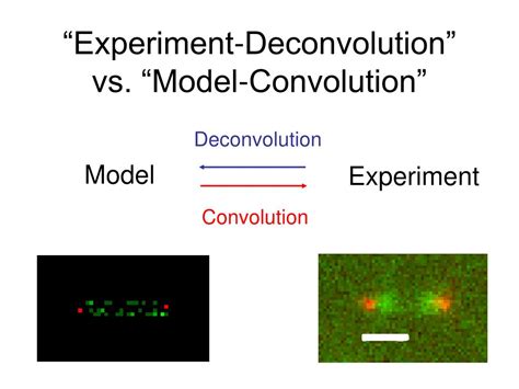 Ppt David Odde Dept Of Biomedical Engineering University Of