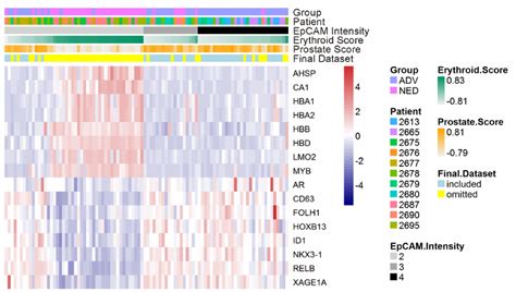 Identification Of An Erythroid Progenitor Like Signature And A Prostate Download Scientific