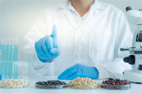 Scientist Analyze Biochemical Samples In Advanced Scientific Laboratory