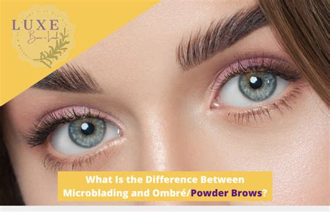 Difference Between Microblading And Ombré Powder Brows