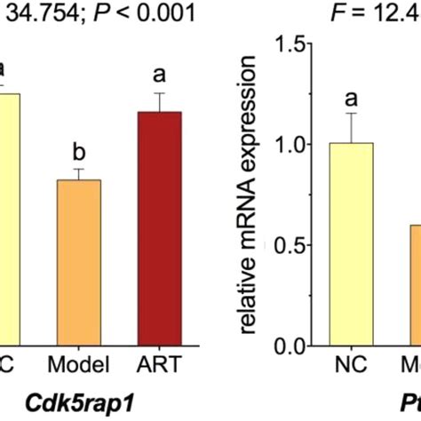Relative Messenger Rna Expression Of Candidate Genes In Zebrafishes
