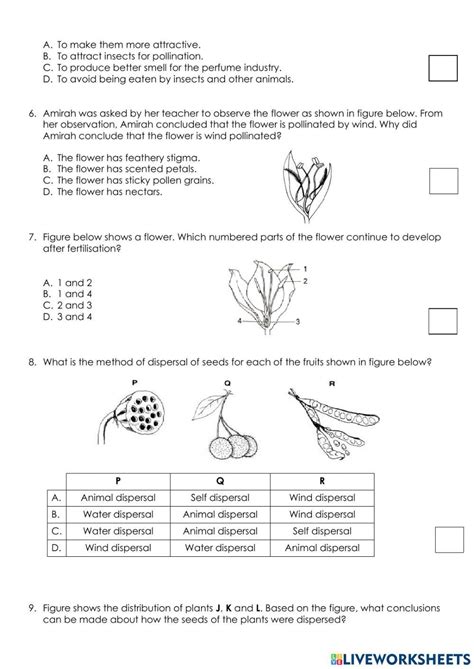 Plant Reproduction Activity For Grade 8 Live Worksheets Worksheets