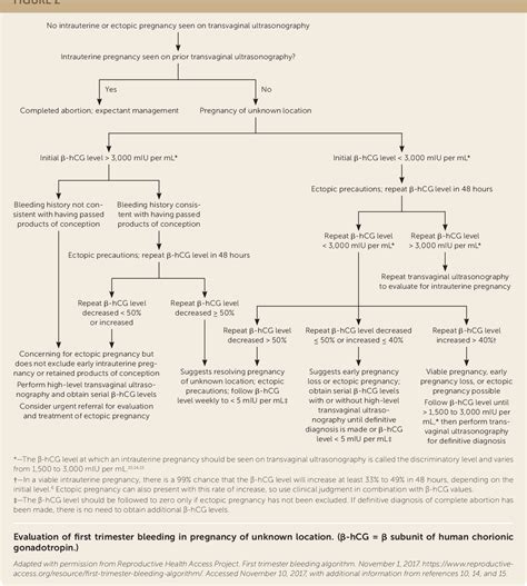 Pdf First Trimester Bleeding Evaluation And Management Semantic