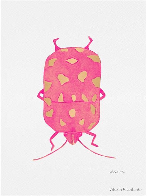 Beetles Poster For Sale By Aesca Redbubble