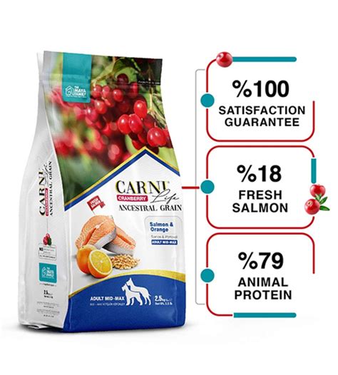 Carni Life Cranberry Ancestral Grain Salmon & Orange Adult Dog MEDIUM ...
