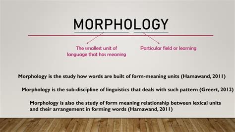 Morphology Pdf