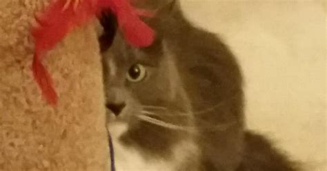 You Cannot Run You Cannot Hide Ill Find You Imgur