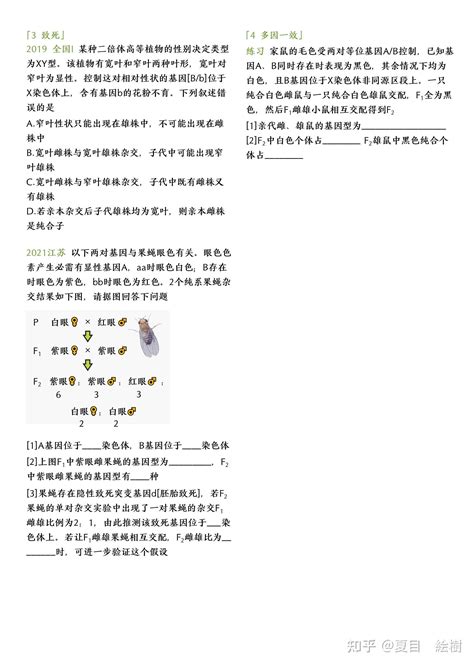基因传递规律篇 236 基因在性染色体上的遗传规律 高中生物一轮笔记 知乎