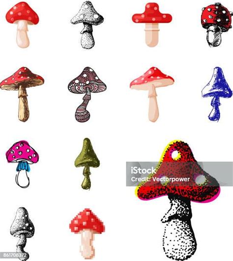 Amanita Terbang Agaric Toadstool Jamur Jamur Beda Gaya Seni Desain Vektor Ilustrasi Topi Merah
