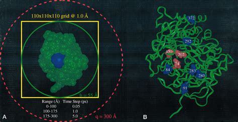 Brownian Dynamics Simulation Of Diffusion Of Cationic Ligand Into The Download Scientific