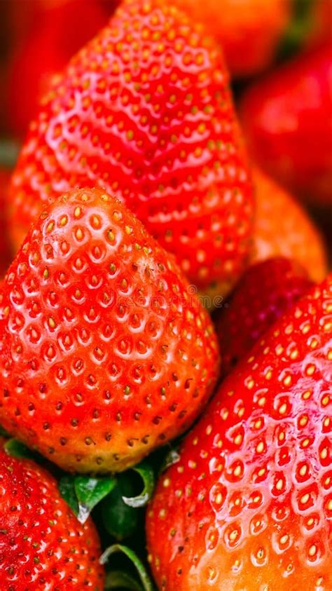 Fresh Strawberries Close Up Macro Photo Of A Gorgeous Ripe Strawberry