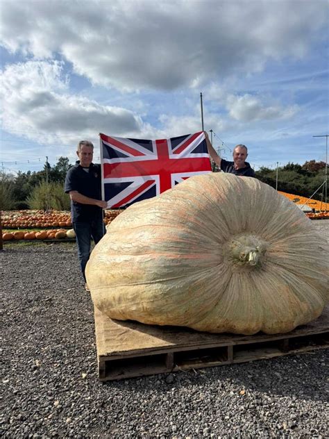 Ian And Stuart Paton Of Pinetops Nursery In Lymington Finally Break