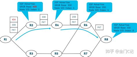 segment routing 101 知乎
