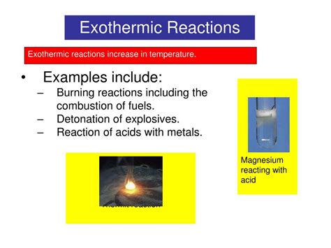 Exothermic Reactions Examples