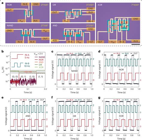 Pseudo Cmos Logic Gates On The Basis Of Monolayer Mos2 Continuous Download Scientific Diagram