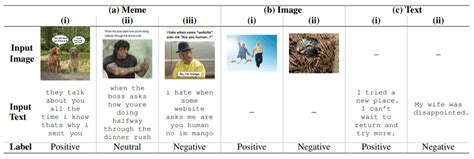 Enhancing Meme Classification Through Supplementary Training Techniques Hackernoon