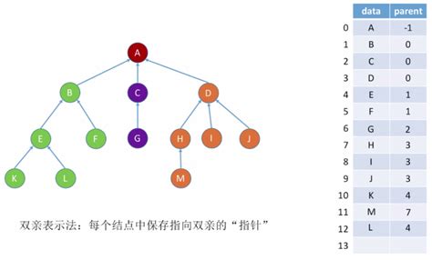 树的双亲表示法and孩子表示法代码实现j为双亲结点的地址 Csdn博客