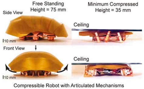 Cram Robot A Robot Cockroach