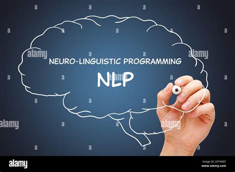 Hand Writing Neuro Linguistic Programming Nlp On Drawn Human Brain With