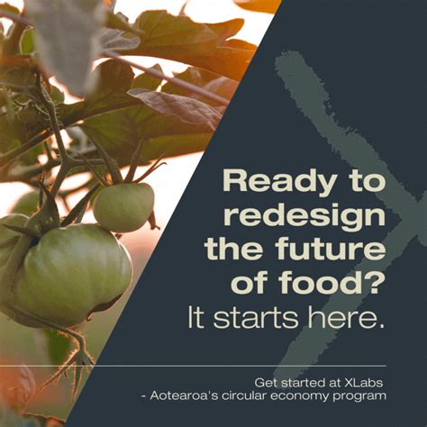 Circularity On Linkedin Xlabs Nz A Circular Economy Program For