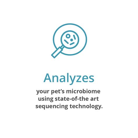 Buy The Dog And Cat Microbiome Analysis Kit Petivity