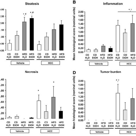 A Hfd And Hepa1 6 Hcc Injections Alter Liver Pathology Micrographs