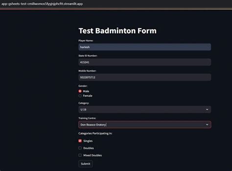 Streamlit Python Excelintegration Api Datamanagement Git Github