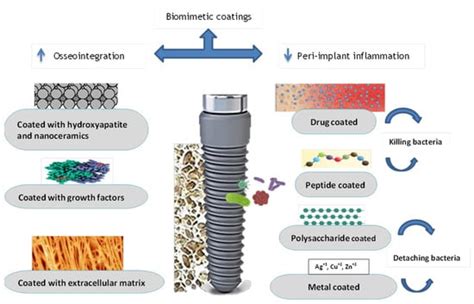 Biomimetic Coatings In Implant Dentistry A Quick Update