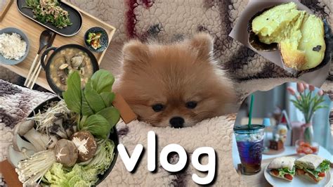 마켓컬리 노브랜드 할인받아 장보고 다양하게 집밥 해먹는 가계부 브이로그👩🏻‍🍳 유부녀의 첫외박 샤브샤브 무한피망🫑 바지락미소된장 군고구마🍠 바질치아바타🥙