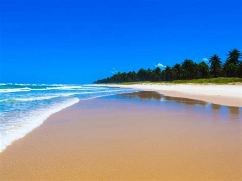City Tour Maceió Praia Do Francês Reserve Agora Com A Tourfácil