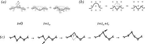 Figure 11 From Understanding The Effect Of Constraint Release On The Dynamics Of Entangled