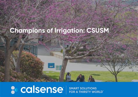 The Unexpected Arboretum Csusm Benefits From Sustainable Approach To Water And Environmental