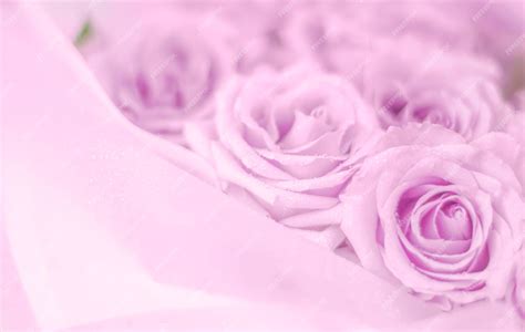 Premium Photo A Postcard Of Pink And Purple Rose Flowers With A Copy