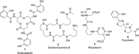 Macrocyclic Lactone Antibiotic