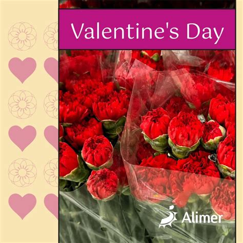 Alimer On Linkedin Alimer Valentin