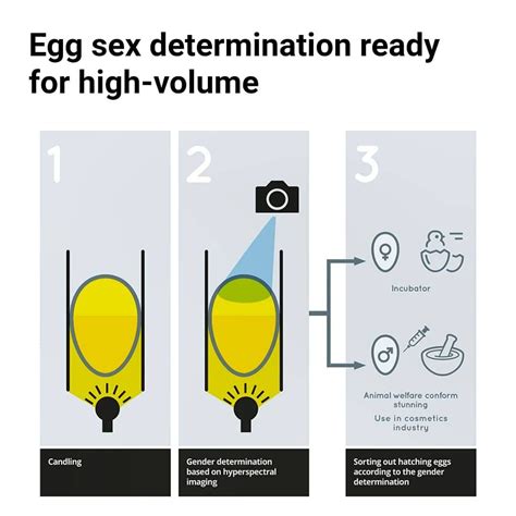 Animal Healthandnutrition Middle East And Africa On Linkedin Sex