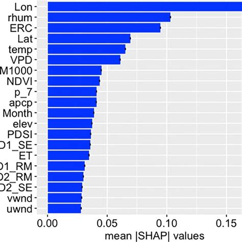 Top 20 Variables For The Model Based On The Mean Absolute Shap Value