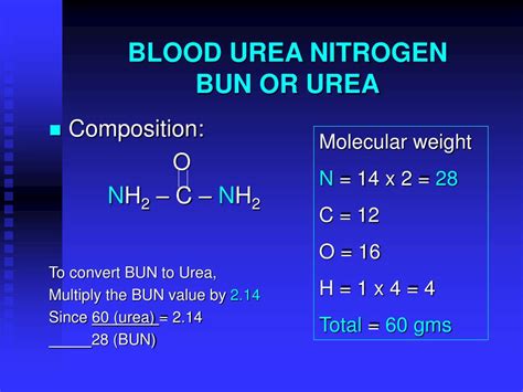 Ppt Renal Function Powerpoint Presentation Free Download Id5953752