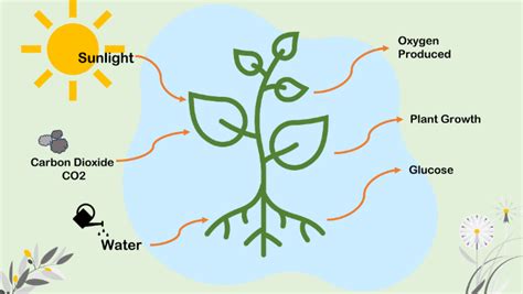The Science Of Sustainability Fermentations Role In Bioproducts
