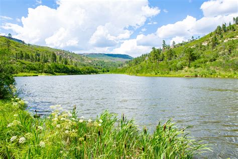 Courses Asargeo Academy