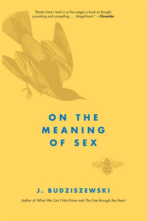 Does Sex Have Meaning And Who Can Really Say The Natural Family