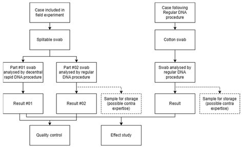 Is Dna Direct Evidence Real World Examples And Insights