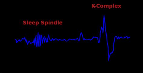 Sleep Spindles